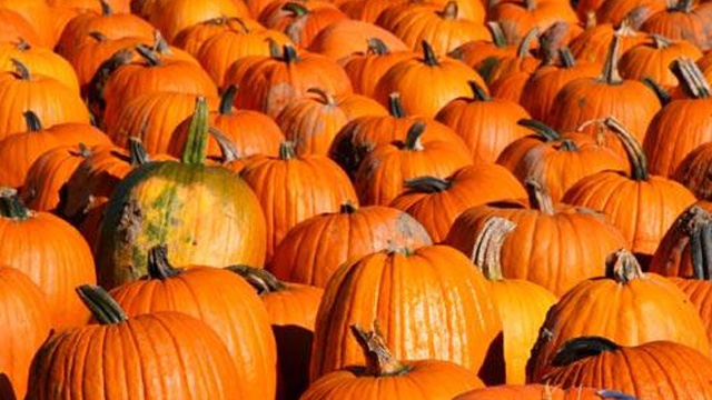 Pacific Power offers fall harvest safety tips - KTVZ